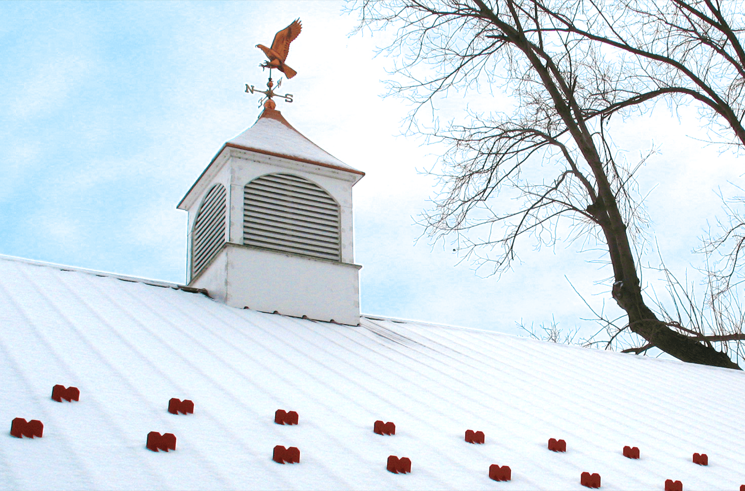 The Ultimate Guide to Snow Retention Systems - Levi's Building Components