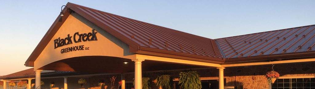 Why Ventilation Matters | Levi's Building Components