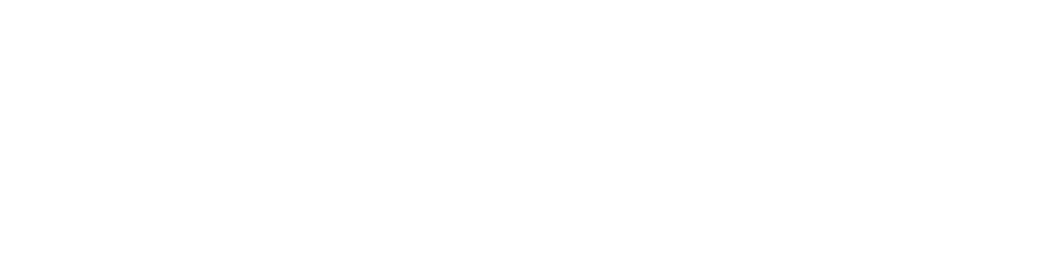 Uplift Plate | Levi's Building Components